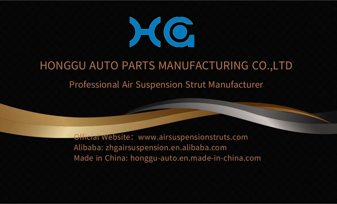 Air Suspension Strut with VDS for Land Rover Range Rover