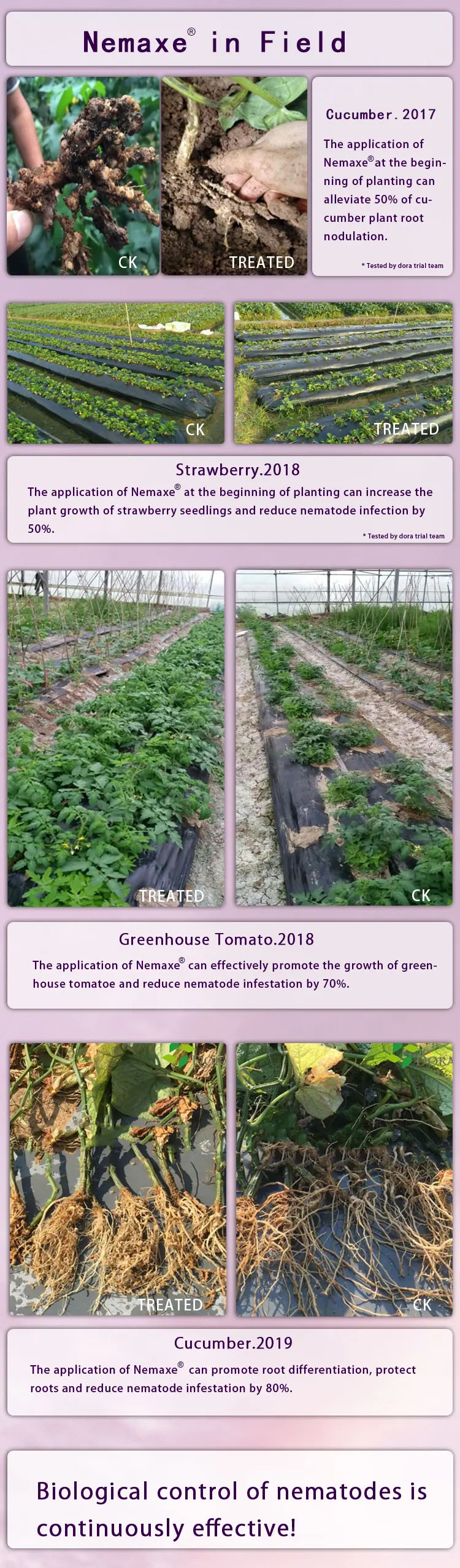 Dora Nemaxe - New High Effective Nematicide Controlling Nematodes Root Knot Water Soluble ...