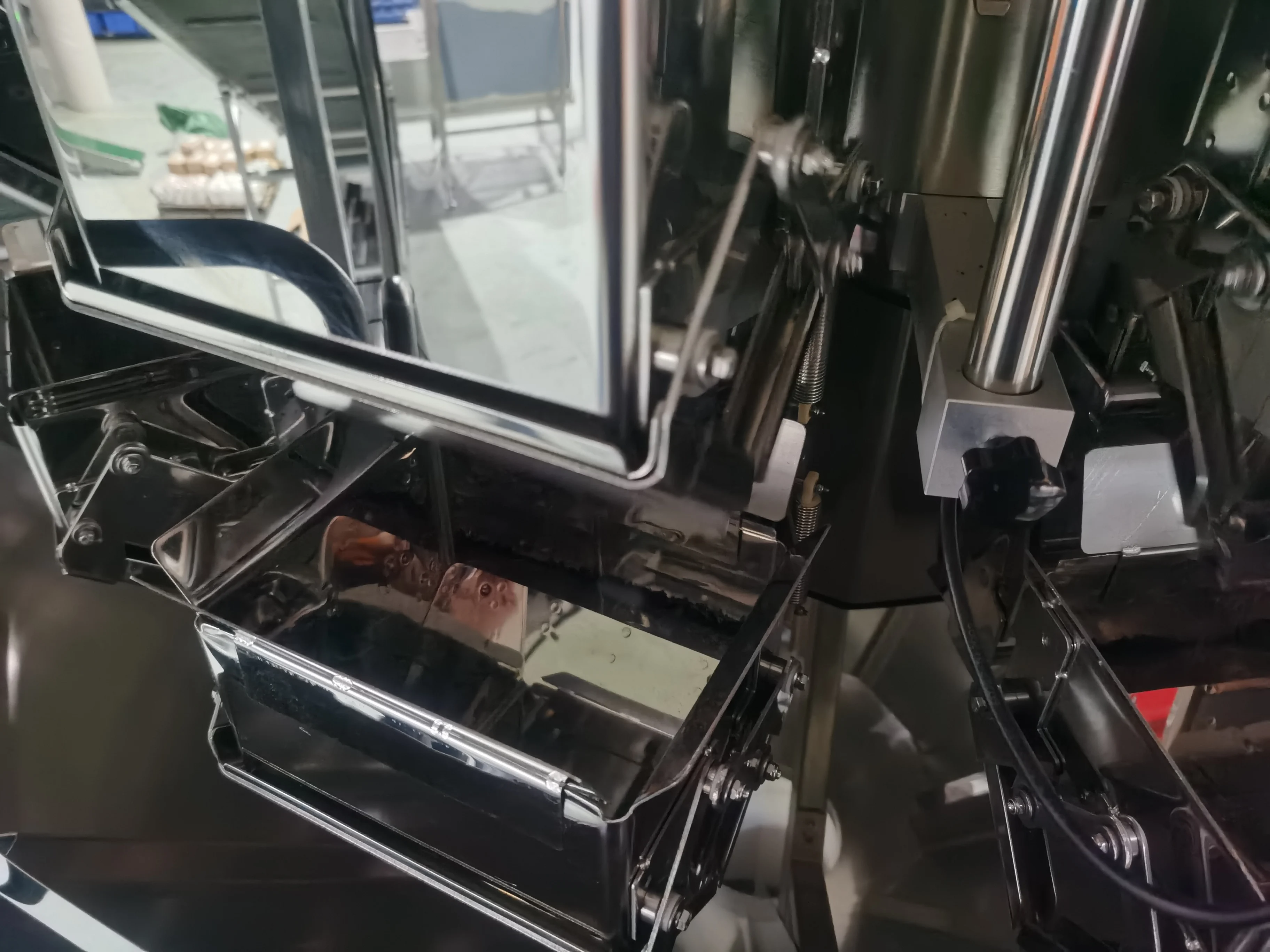 Focus Machinery 10kg Big Bag Plastic Packaging Machines For Cats ...