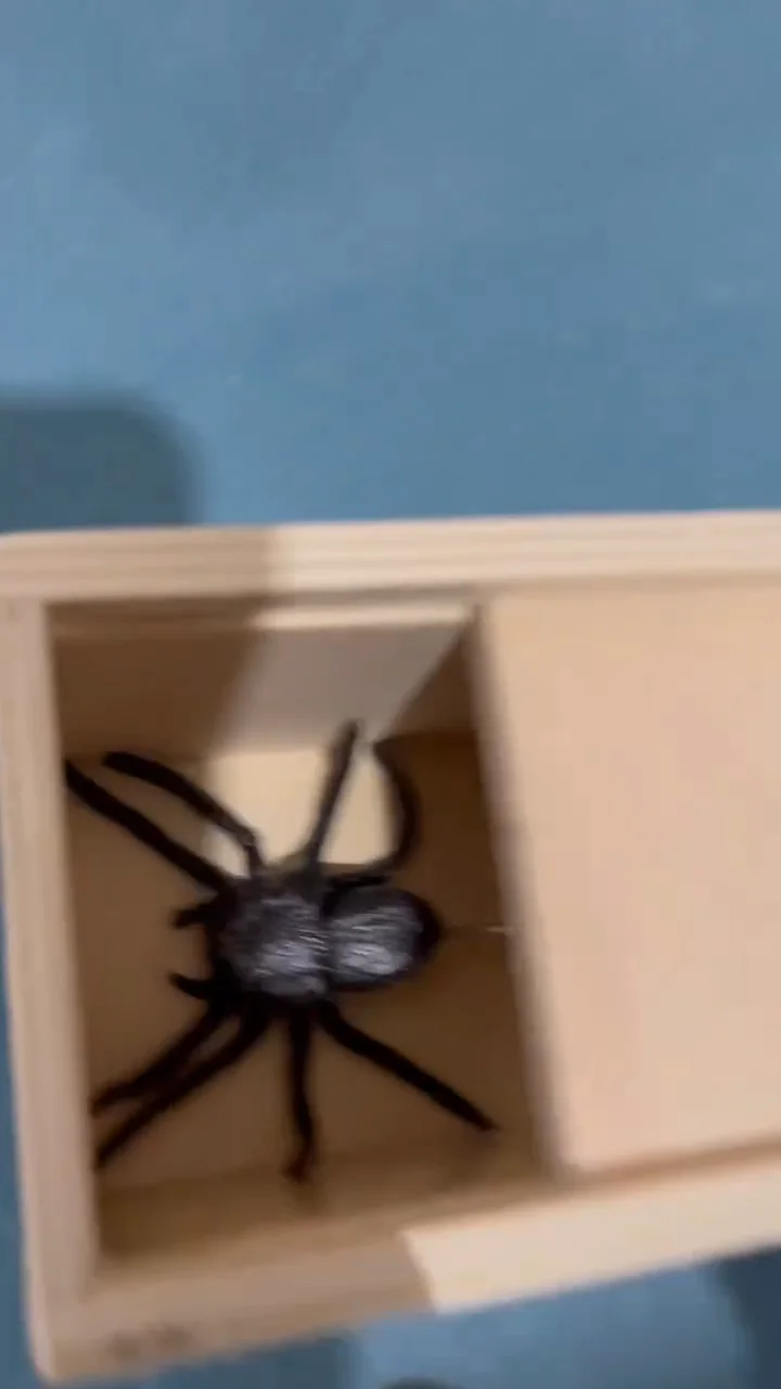 Joker Gift Rubber Spider Prank Box Handcrafted Wooden Surprise Box ...
