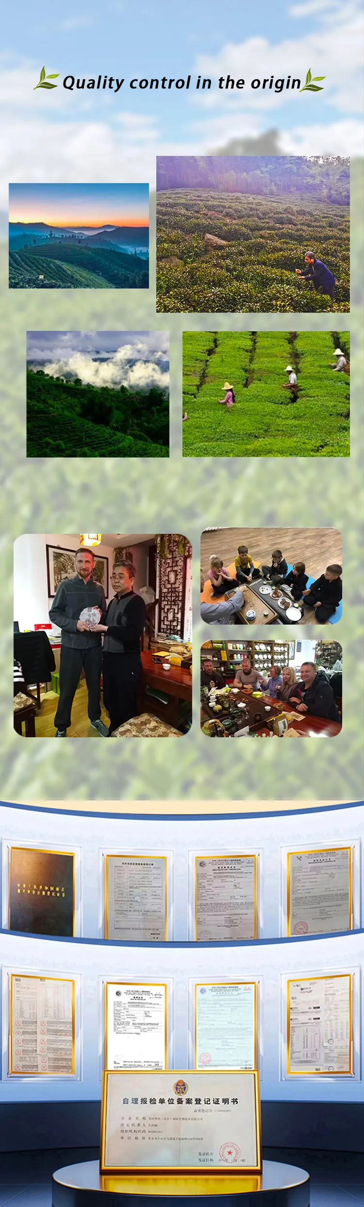 Canned Ginseng Ten Treasure Tea Nourishing Liver and Kidney Tea Chinese ...