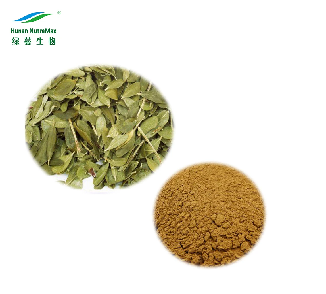 100% Natural Buchu Leaf Extract - Bioflavoniods Powder