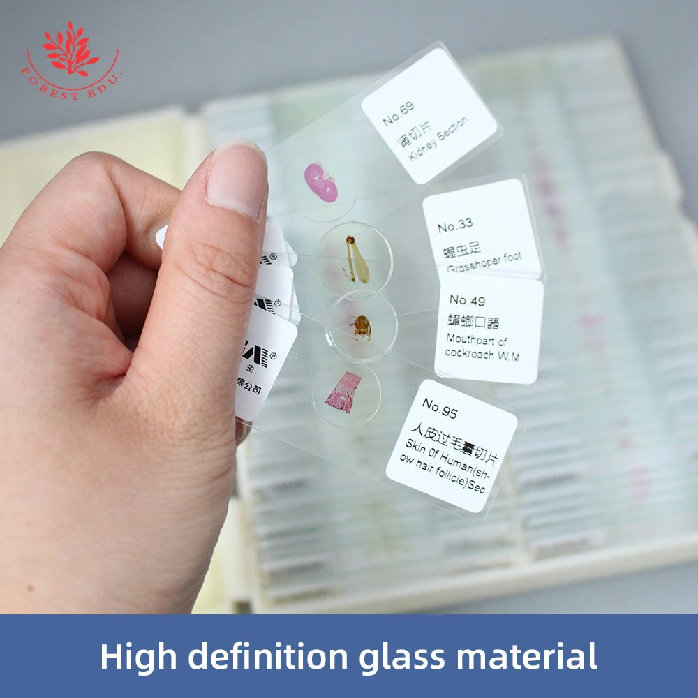 Biology School Supplies - 100 Items for Microscope Slides