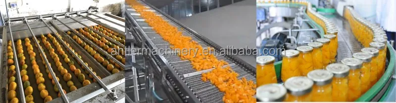 Small Scale Canned Pineapple in Syrup Production Line - Efficient ...