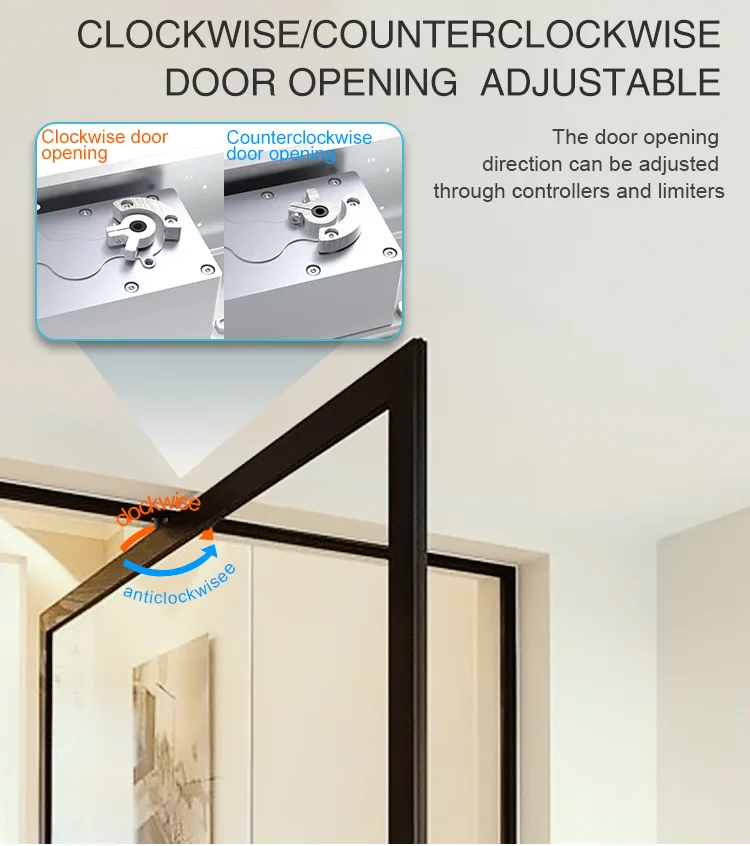 Doortec Automatic Pivot Door With Intelligent Controller And Beautiful ...