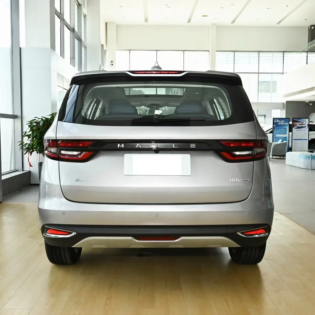 Geely Ruilan Maple Leaf 80v Pro Adult Car Adult Mpv High Speed New Design Vehicles Electric Car ...