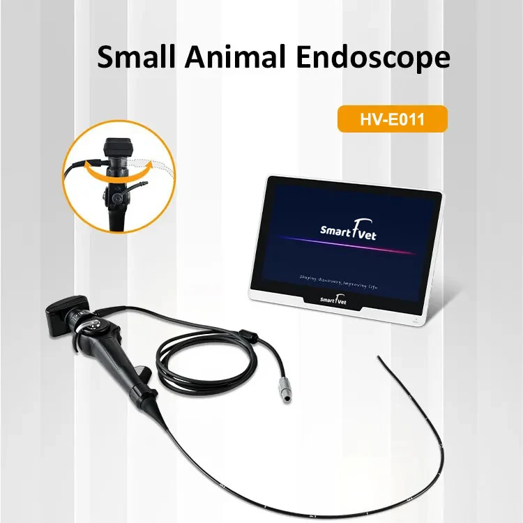 Veterinary Flexible Endoscope for Small Animals and Equine Upper and ...