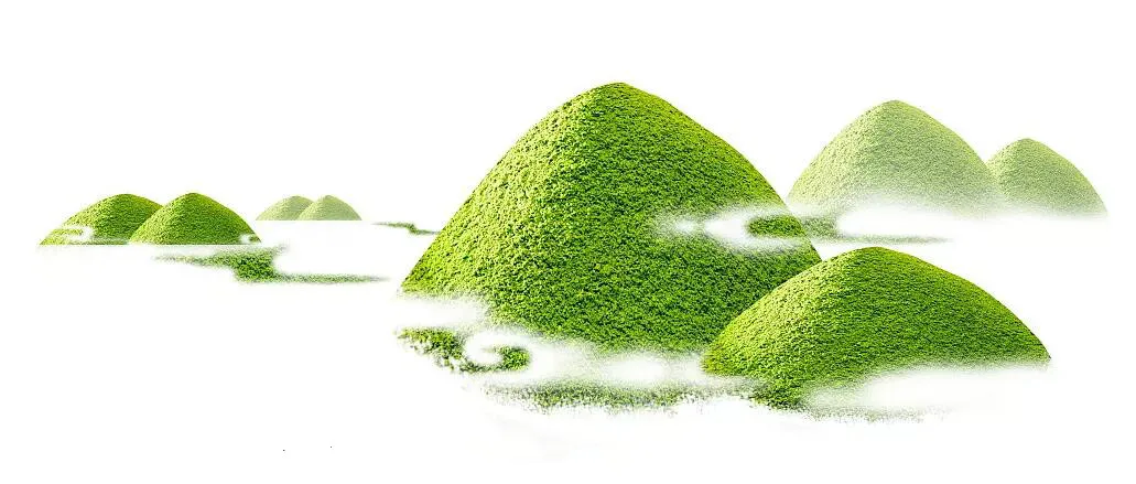 100% Pure Japanese Matcha Powder Organic Matcha Green Tea Certified ...