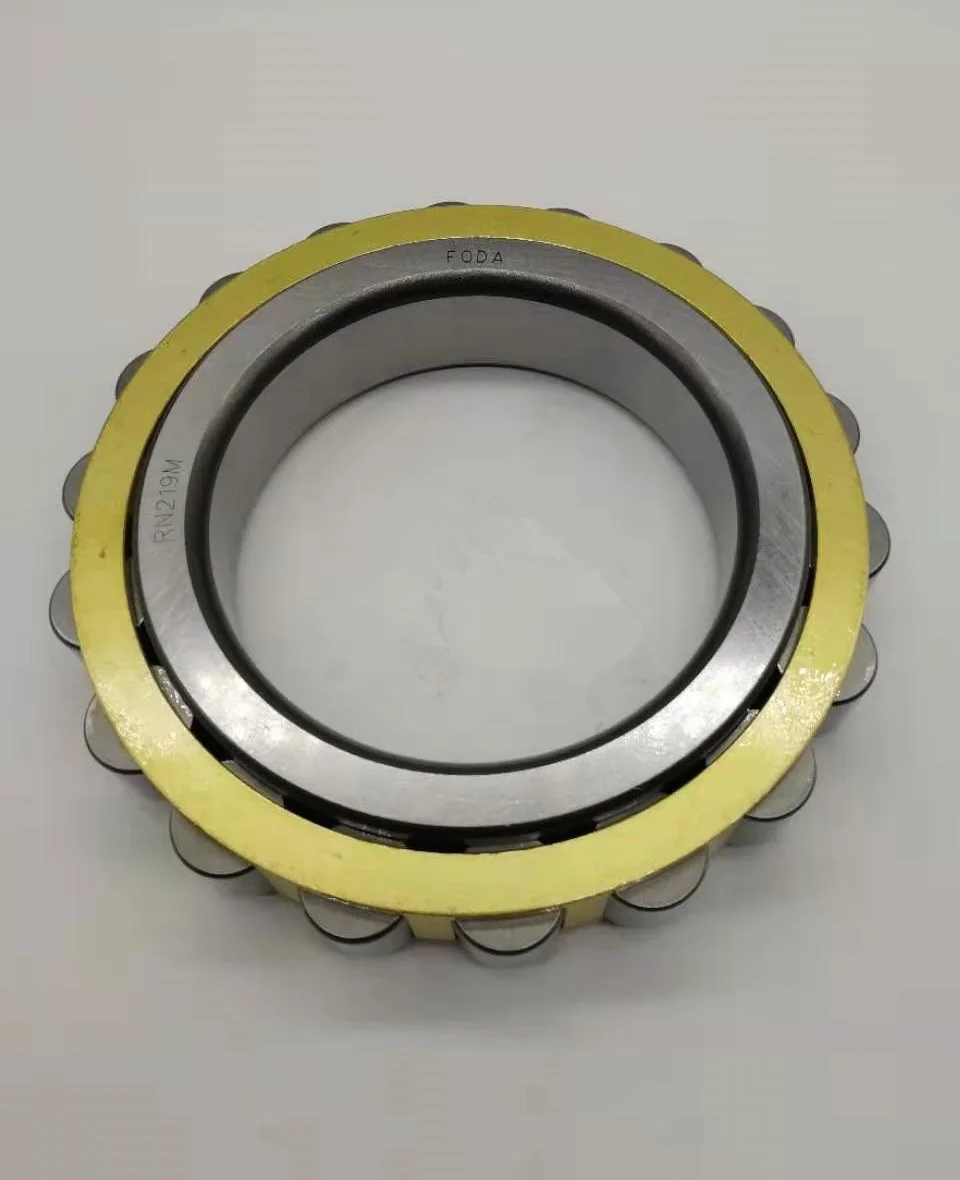 RN219M Cylindrical Roller Bearing - Single Row, High Precision
