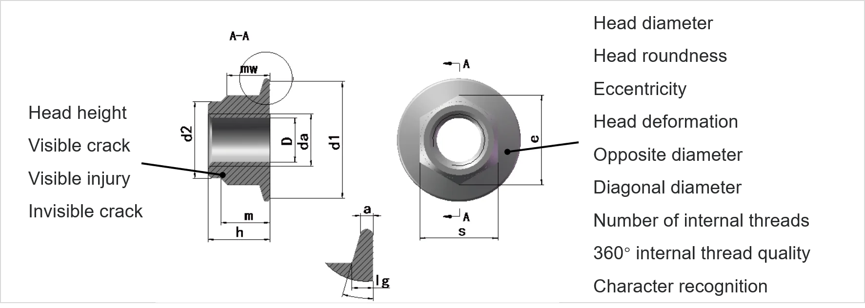 OPENEX Custom Solution - Efficient Steel Nuts Sorter