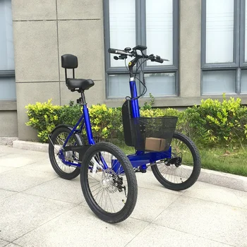 Front Loading Rhree Wheel Electric Cargo Bike With Basket - Buy ...