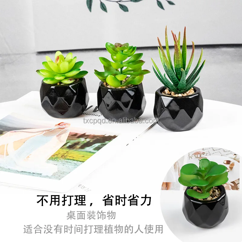 MF-LP72Wholesale Succulents with Ceramic Flower Pots and Plastic ...