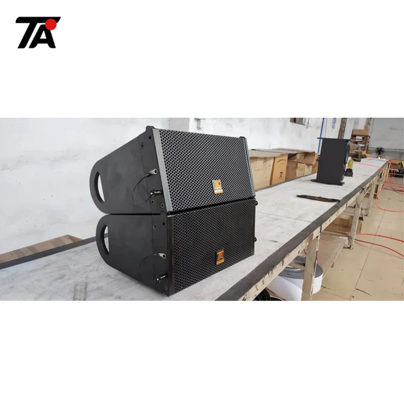 Hot Sale Line Array Empty Speaker Boxes - DIY & Quality