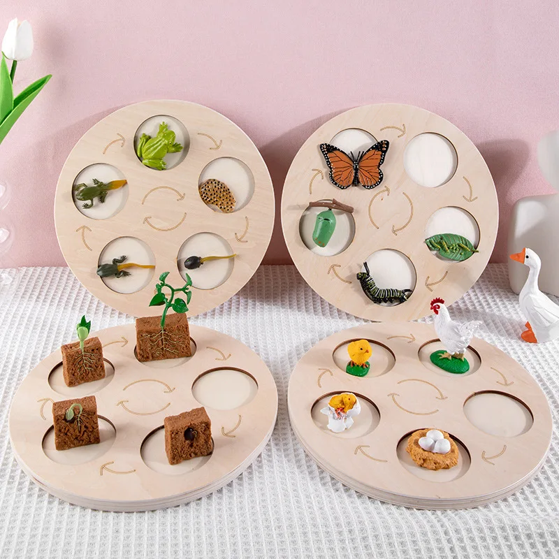 Life Cycle Board 4 Grids Wooden Animal Growth Cycle Board Montessori ...