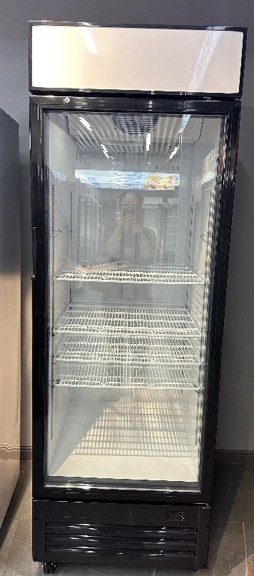 Kenkuhl Visi Cooler Refrigerator Glass Door Upright Beverage Cooler ...