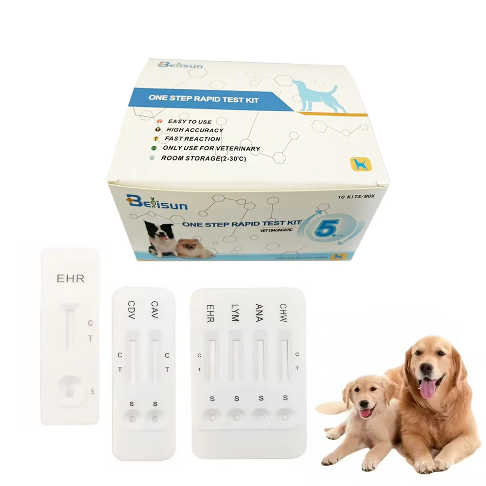 Veterinary Bovine Brucella Antibody Ab Rapid test Kit Card Strip for ...