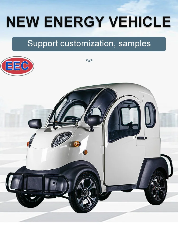 2500W Enclosed Mobility Scooter - High Quality Electric Car
