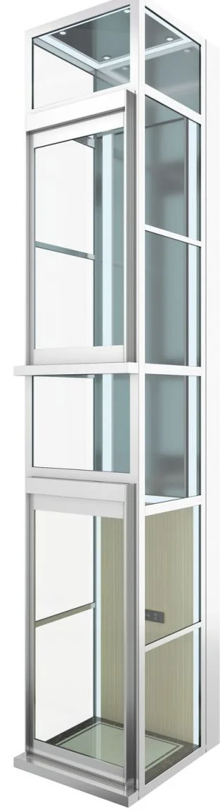 Fuji Indoor Mini Elevator Residential Lift Home 3 Floor Villa Elevator ...