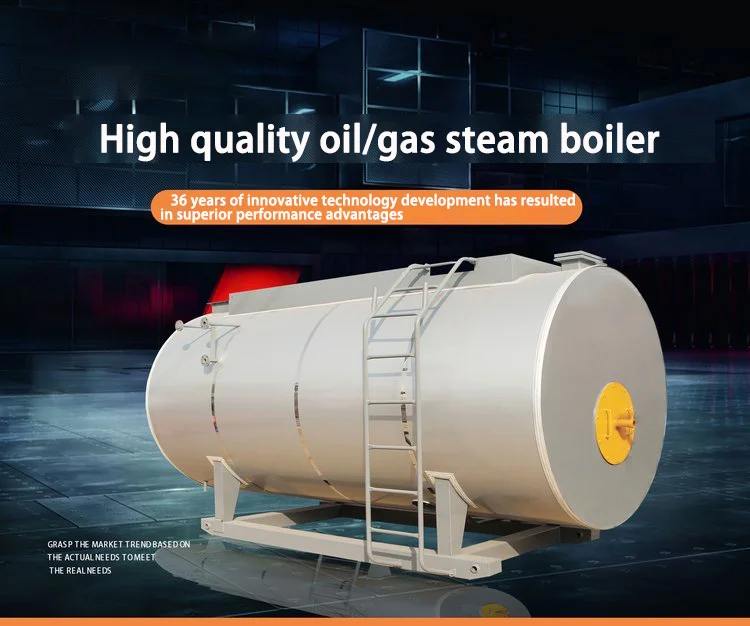 Supply 50,000-1 Million Kcal Gas Thermal Oil Boiler Biomass Thermal Oil Boiler Organic Heat ...