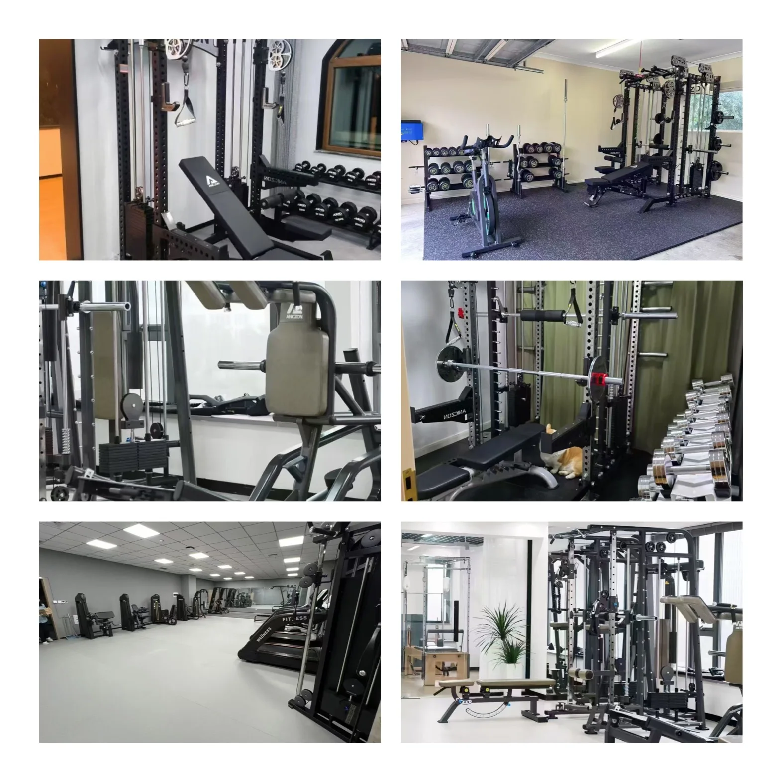 Gym Dumbells - Hex Dumbbell Set with Customized Packaging