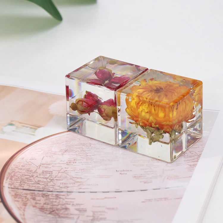 Resin Dried Flower Shaped Teaching Tool Gift - Acrylic Crafts