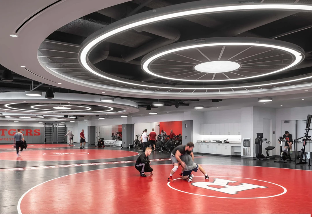 Modern Led Ring Round Ceiling Lights for Livingroom Bedroom 110V 220V ...