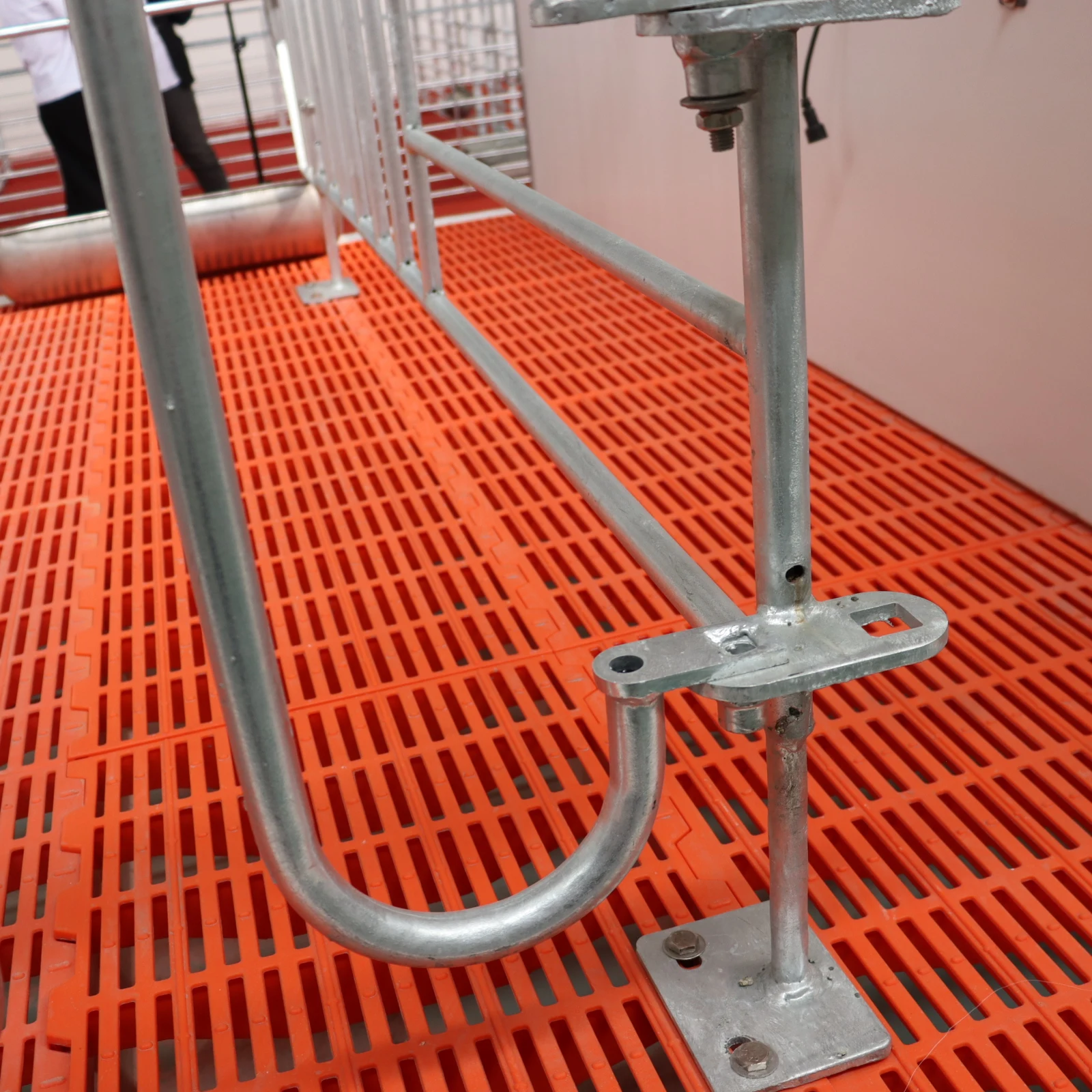 Pig Farming Hot Galvanized Gestation Crates Gestating Pen Gestation ...