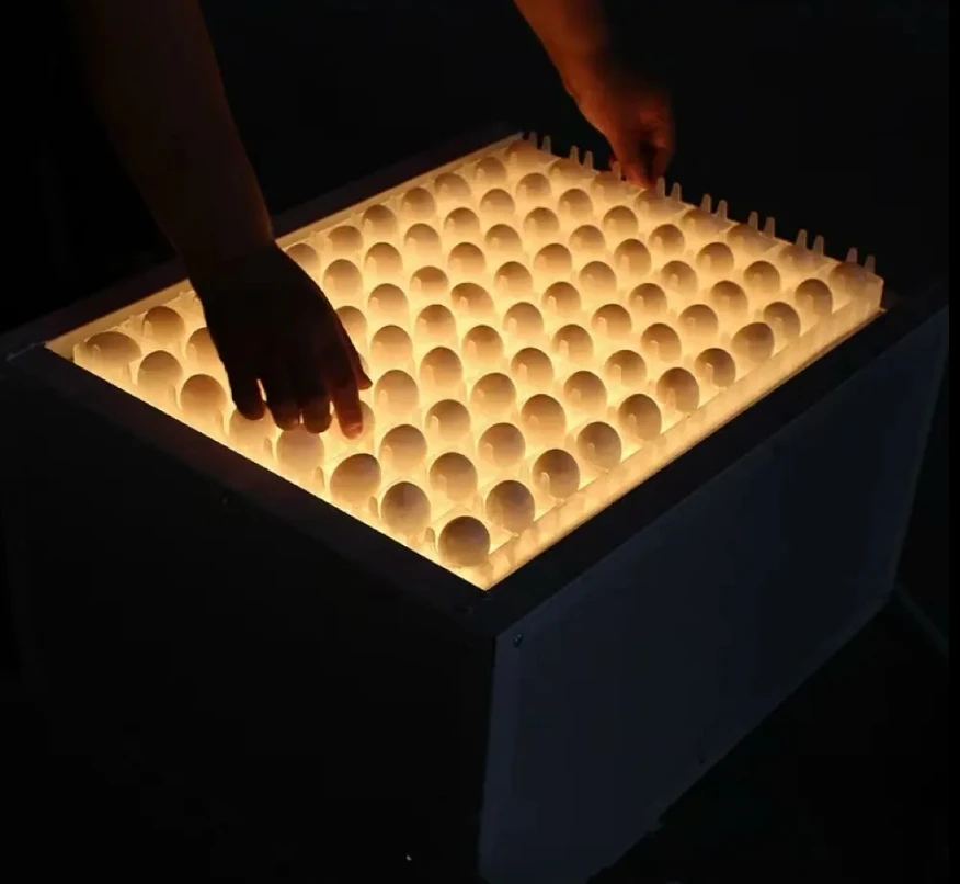 Alibaba.com: Chicken Egg Fertility Tester, Fertile Egg Detector for ...