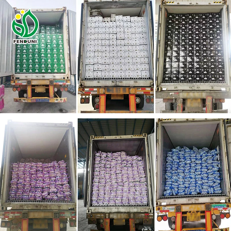 Fresh Garlic Normal White Chinese 3p Pure White Garlic - Buy Jiangsu ...