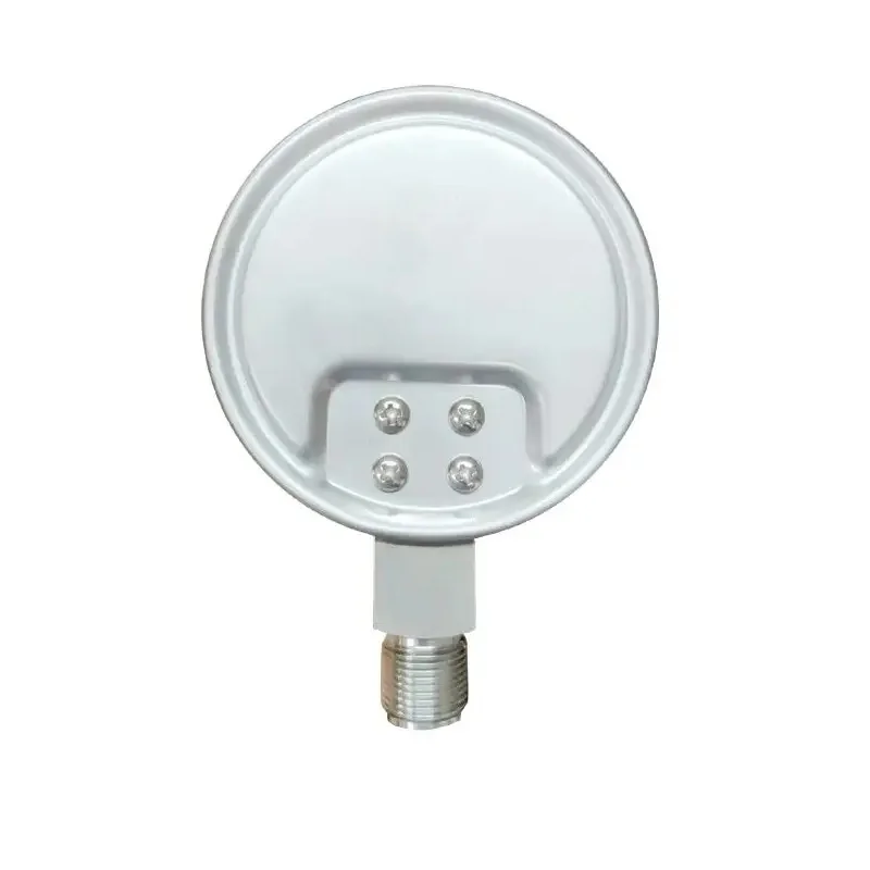 Stainless Steel Pressure Gauge YE-100BF/YEF-100 for Natural Gas