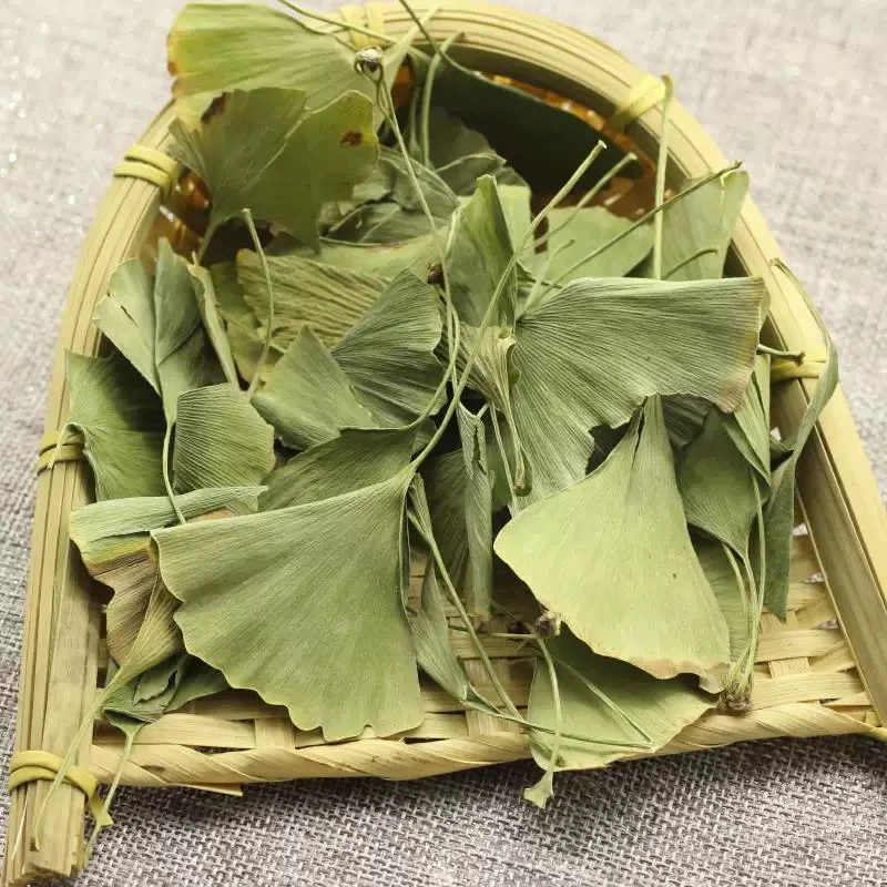 Natural Dried Ginkgo Biloba Loose Leaf Tea - Premium Health