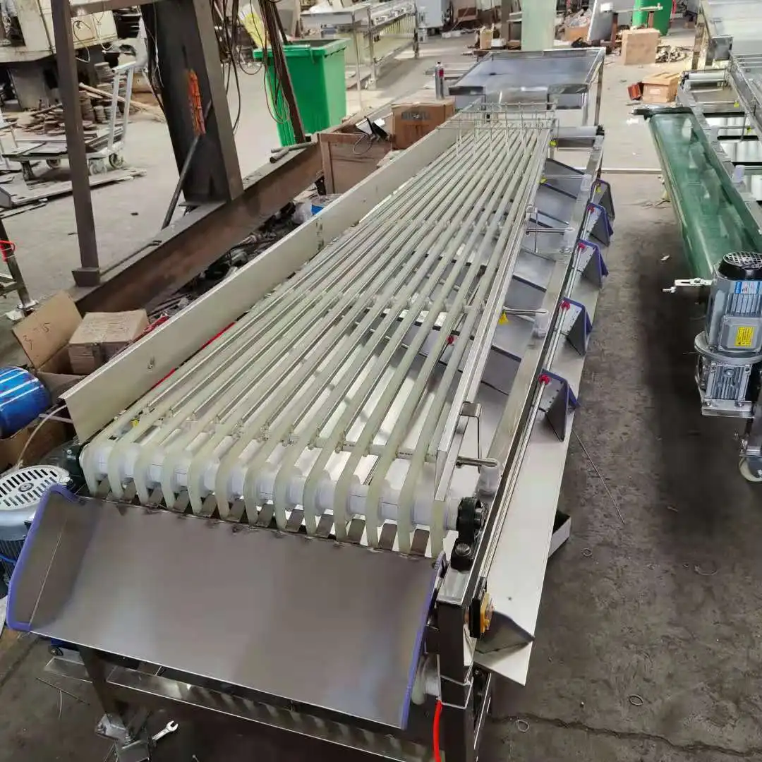 Best Automatic Fruit and Vegetable Grading Machine Dates Jujube Date ...