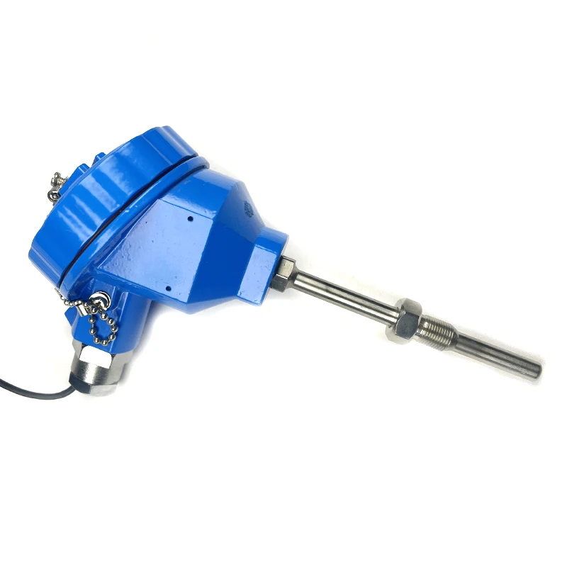 Customizable ATEX Certified RTD PT100 Temperature Sensor