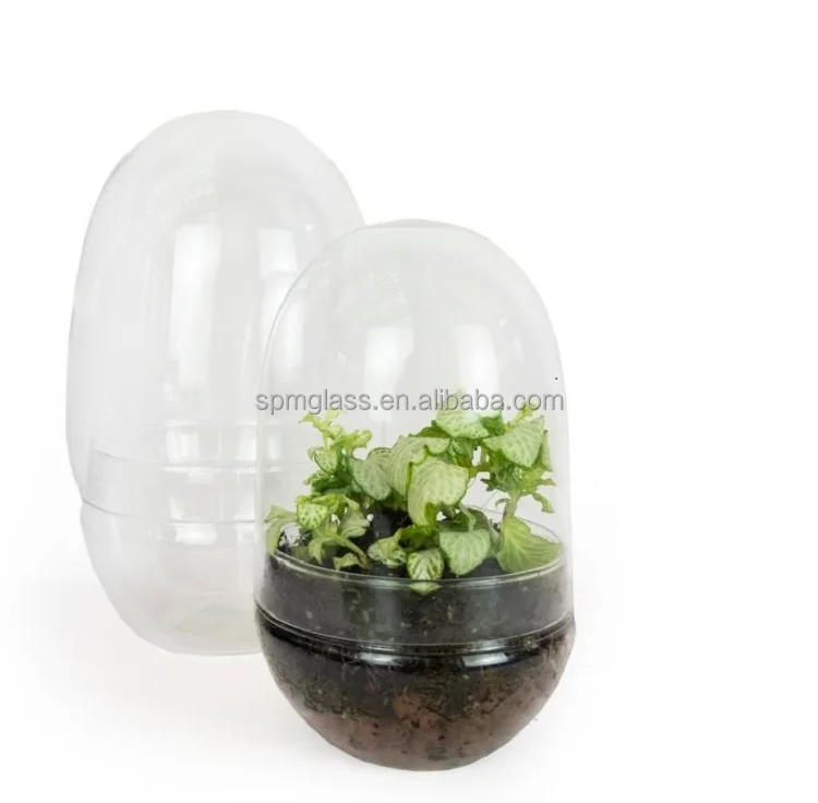 Egg Shaped Glass Terrarium - Perfect for Miniature Plants