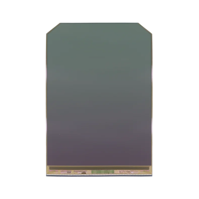 CMOS Image Sensor for Digital Intraoral X-Ray Detection