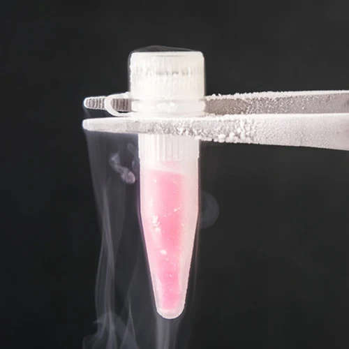 Wholesale Sterile Plastic Cryovial Cryogenic 1.8ml Cryo Vial Tubes ...