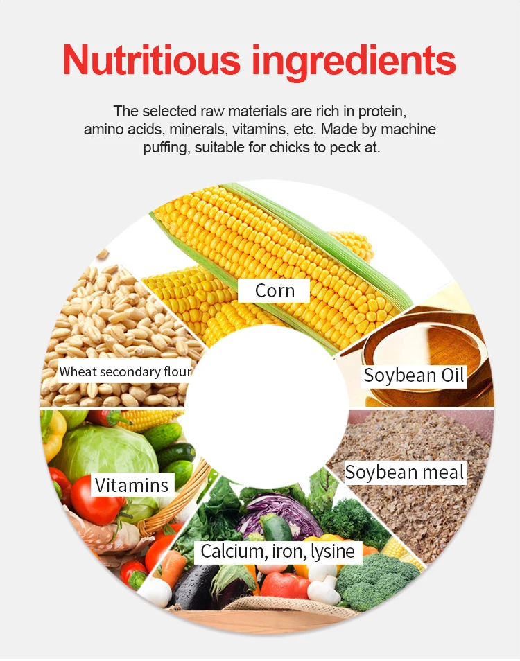 Poultry Feed Chicken Feeds For Broilers Laying Hen High-protein Full ...