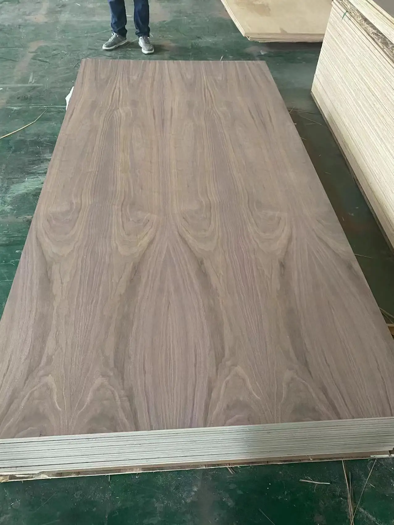 Parota/tzalam Triplay Tzalam MDF to Mexico - Premium Plywood