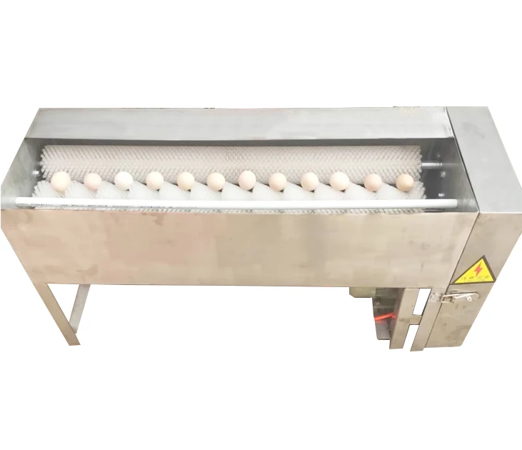 Fully Automatic Electric Egg Washing Machine Is Used in Egg Processing ...