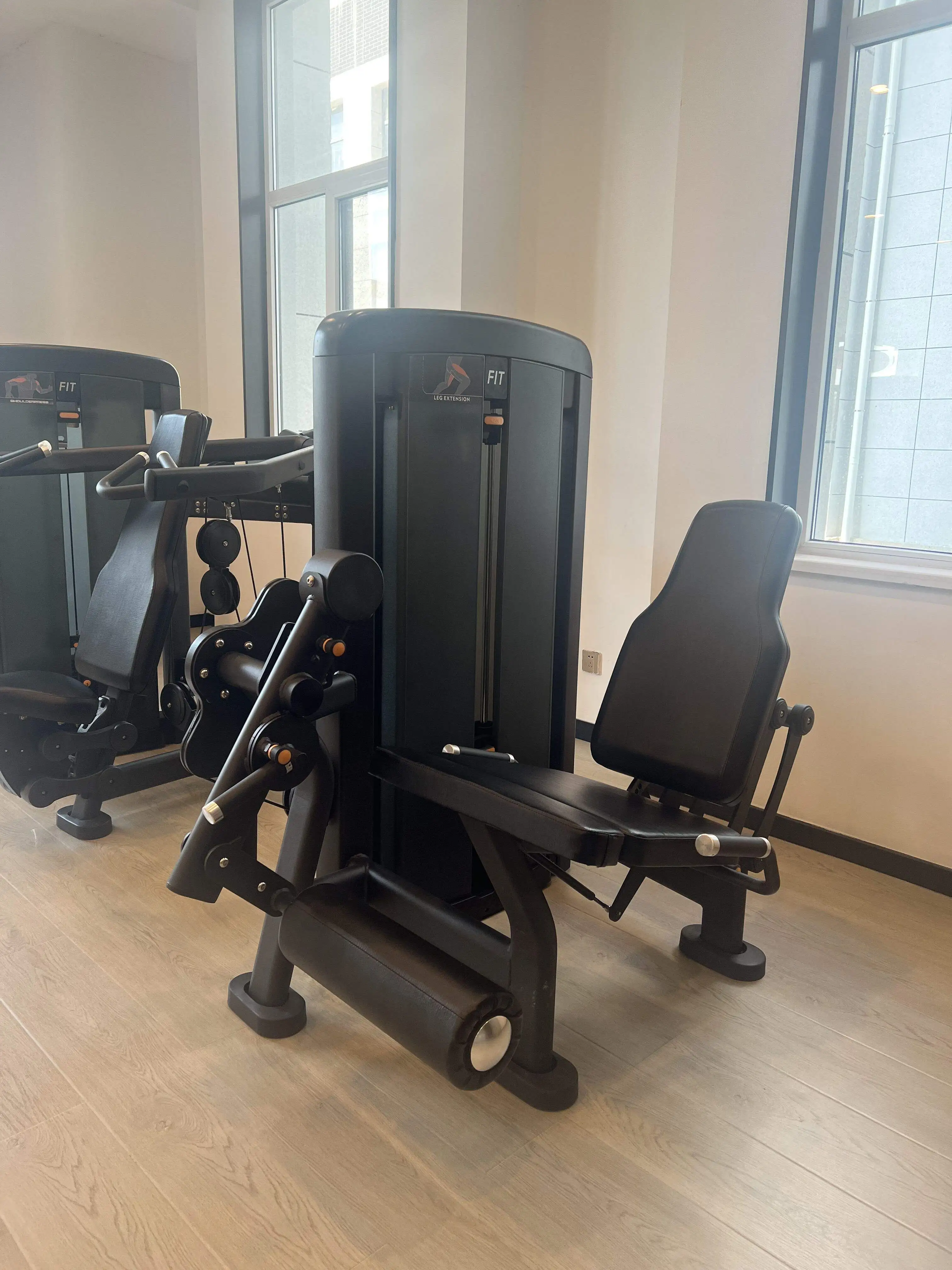 Professional Gym Leg Extension Pin Load Selection Machines Leg ...