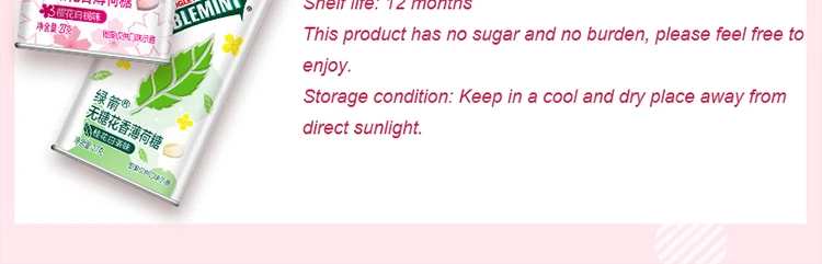Chinese Chewing Gum Sugar Free Chewing Gum 27g Floral Mints Mint ...