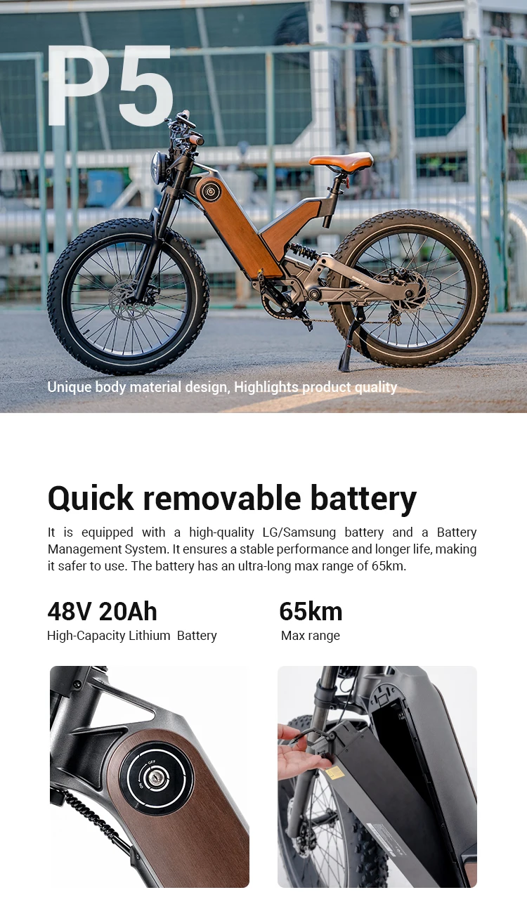 Dark Grey/oem Color Mountain Electric Bike Bicycle 48v 16ah E Bike 48v ...