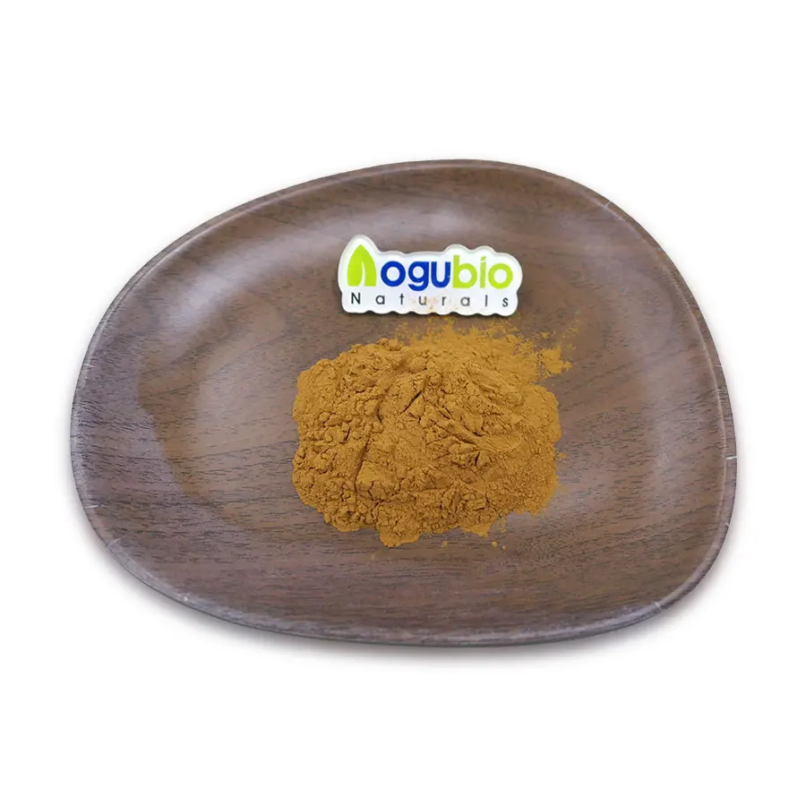 Best Selling Plantain Seed Extract - Natural Organic Powder