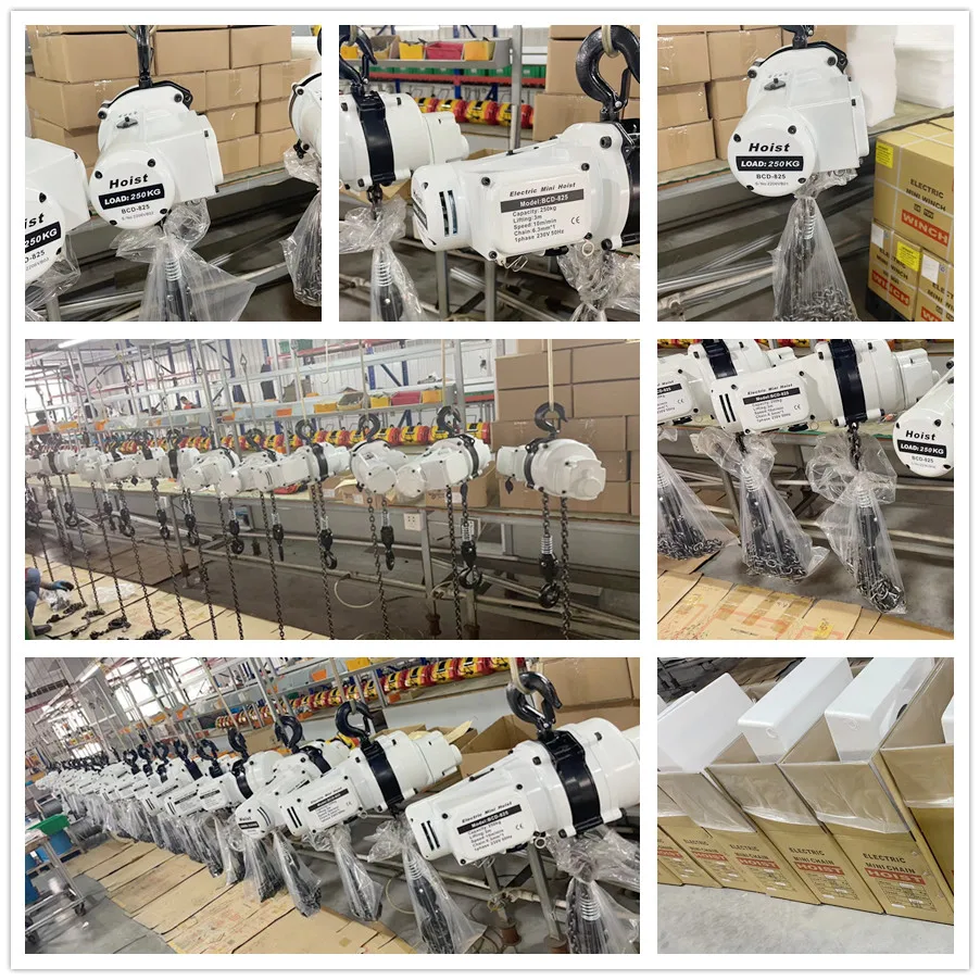 250kg 500kg 1000kg Light Weigh Single Phase 110v / 220v Mini Electric ...