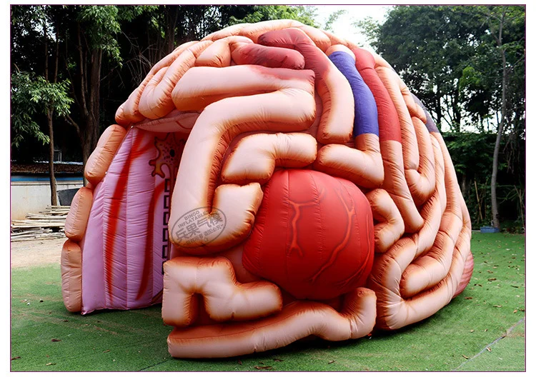 Inflatable Brain Channel Tent Air Model Mannequin Inflatable Mall ...