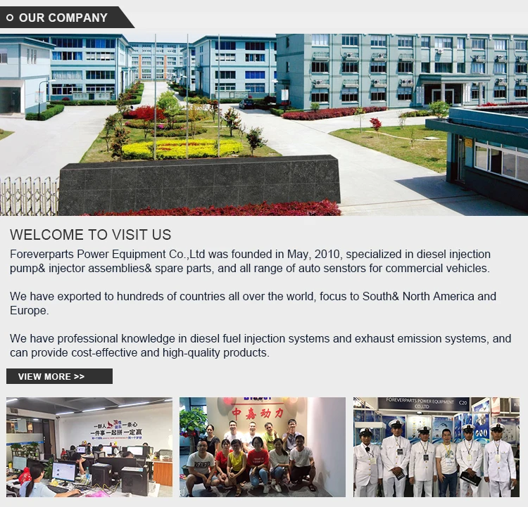 Diesel Fuel Injection Pump 0460424304 VE4/12F1100L998 Fuel Pump ...