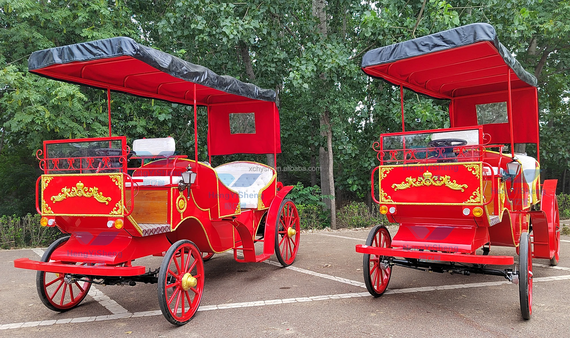 Fashion Sightseeing Horse Carriage With Canopy Retro Sightseeing ...