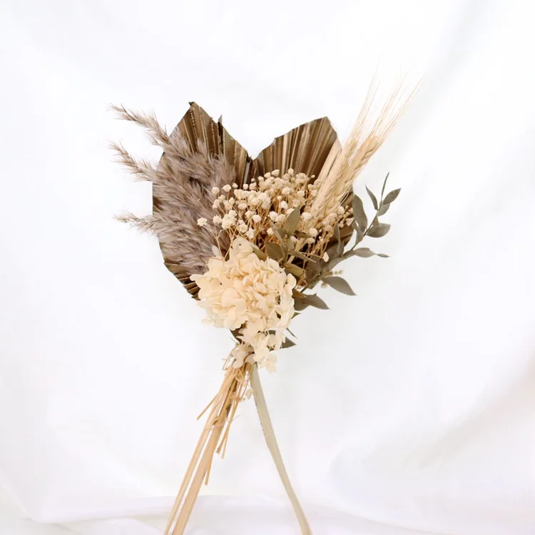 Pampas Grass Real Natural Pampas Grass Dried Flower Decor Pompous ...
