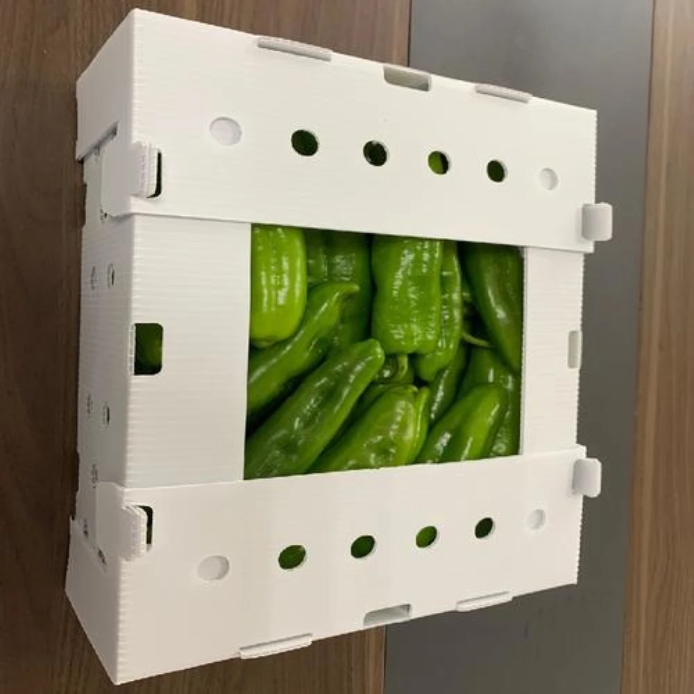 Environmental Friendly Pp Plastic Corrugated Danpla Corflute Box For ...