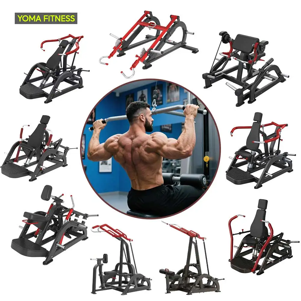 Muscle Building Machines - Commercial Fitness Solutions